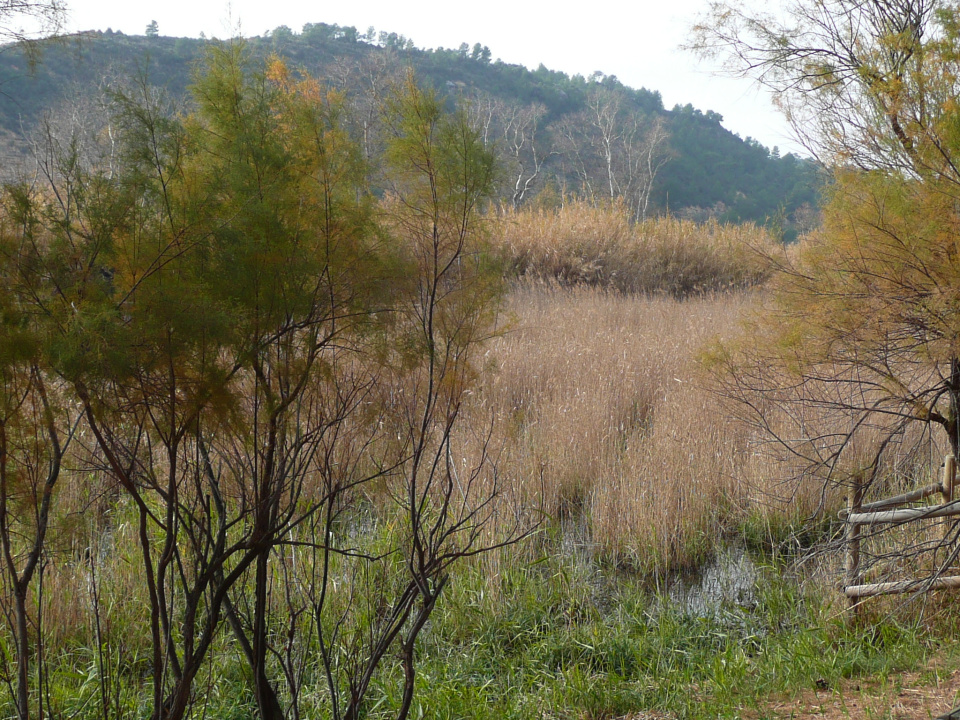 CALNIP | Reserves de Sebes